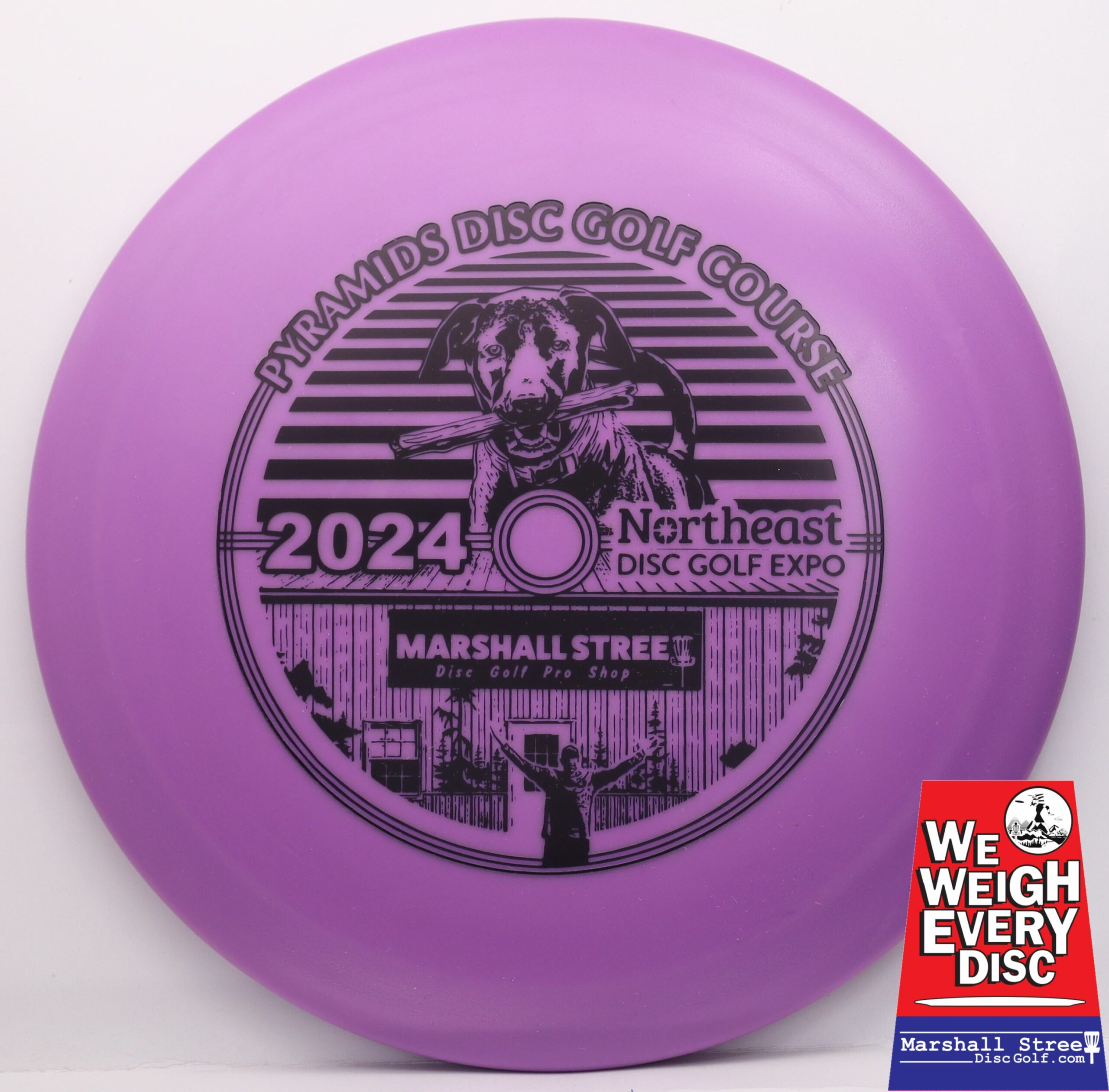 DX Teebird, NEDG Expo 2024 • Marshall Street Disc Golf